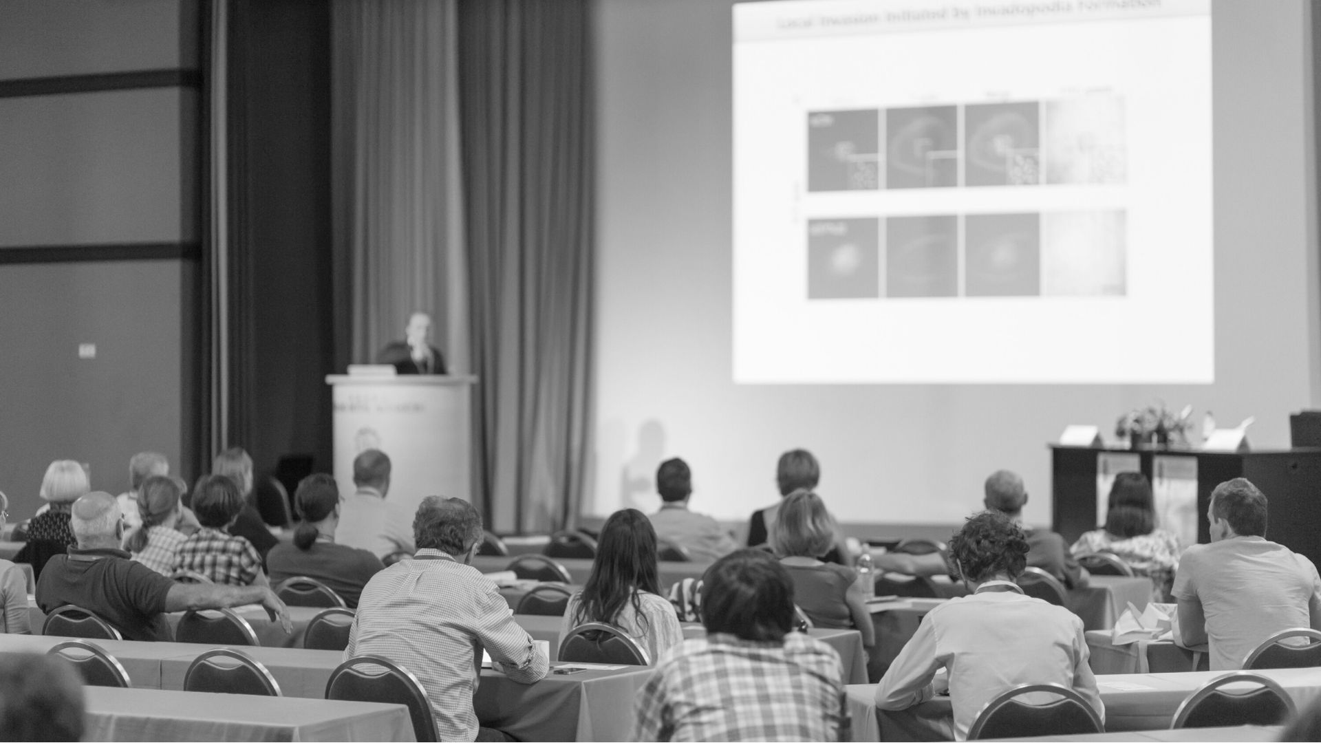 Fundação Dom Cabral | Paradigm Language Support